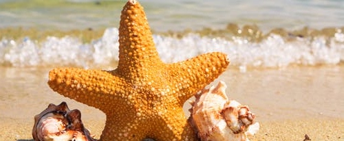 Wellness boutique ASTRO SPA | Crystal Lake [ Book now ]
