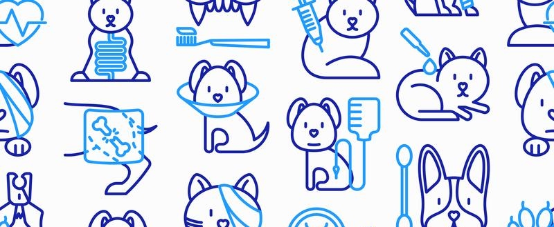 Centro Veterinario Minivet ,veterinaria y petshop | Quillota [ Book now ]